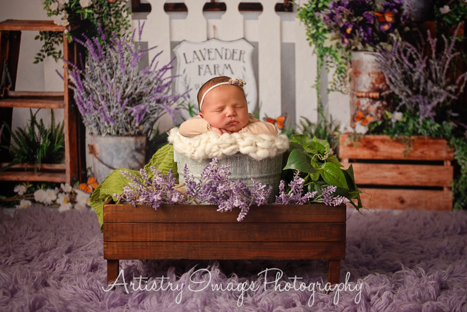 Artistry Images - Seattle Newborn Photography Portfolio